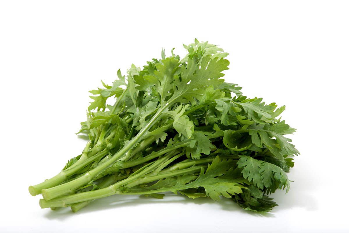 Shungiku | Hanafubuki.dk - japansk kunsthåndværk, kultur og historie